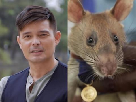 83568 | Amazing Earth | TV | GMA Entertainment - Online Home of Kapuso ...