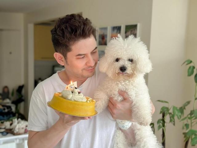 Ahron Villena, proud fur daddy sa kanyang mga alagang aso | GMA ...