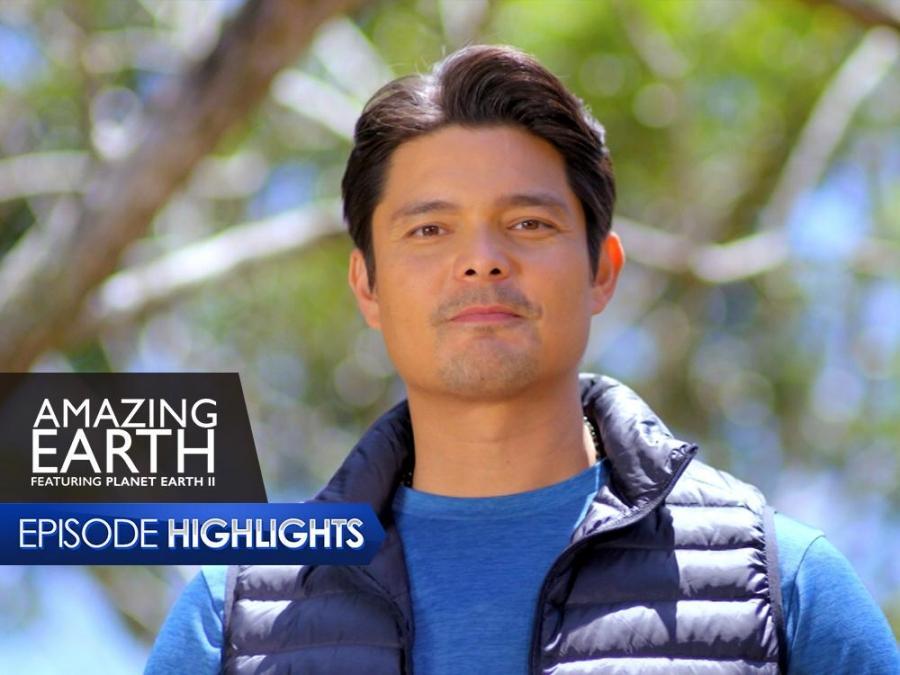 Ang action-packed new season ng 'Amazing Earth' | Teaser Ep. 48 | GMA ...