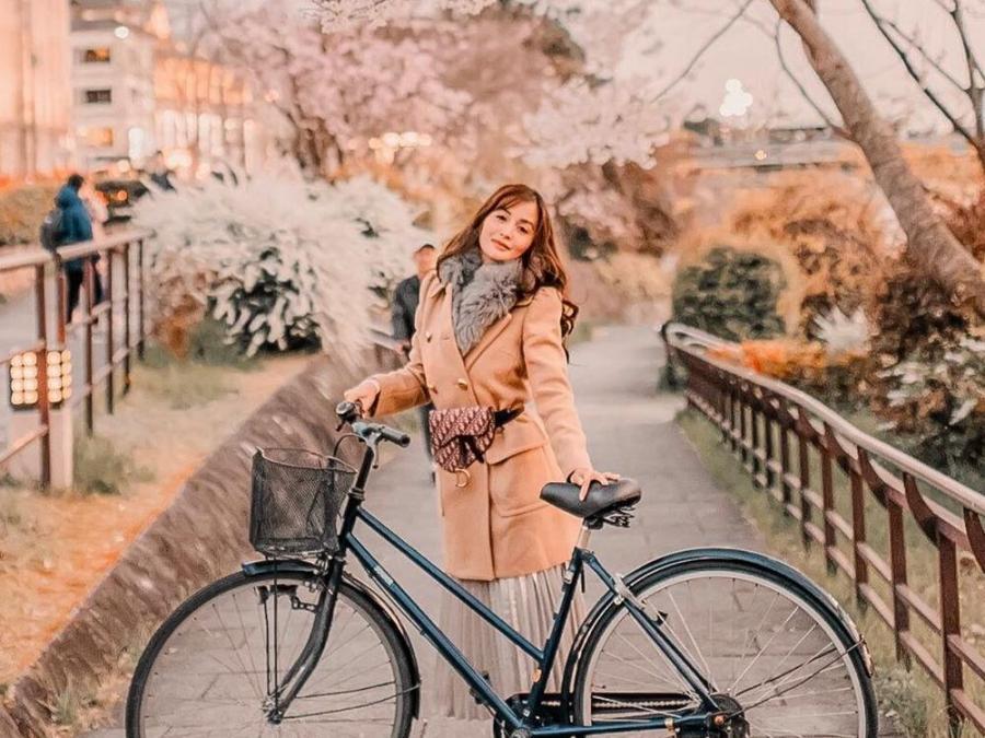 Kris Bernal, may gustong career change dahil sa 'Crash Landing On You ...