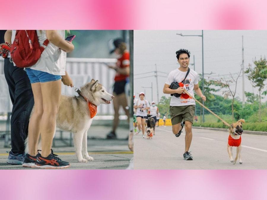 Race with your dog at this fun run on October 1