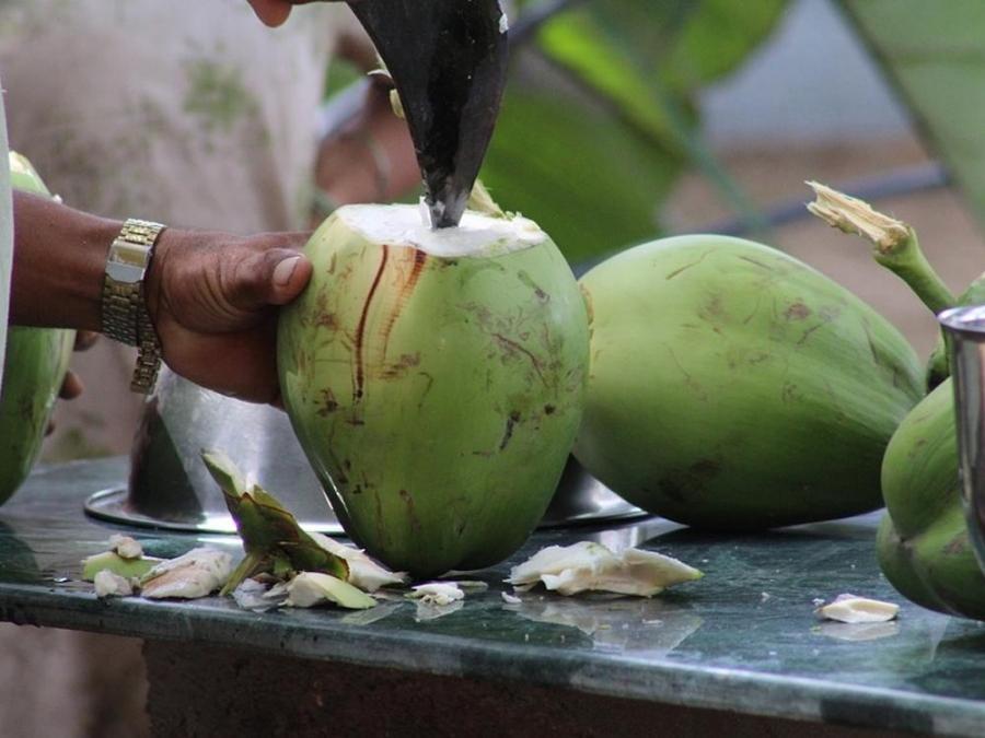 Alternative recipes using buko | GMA Entertainment