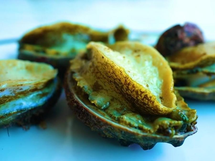 Head over to Zambales to get a taste of abalone