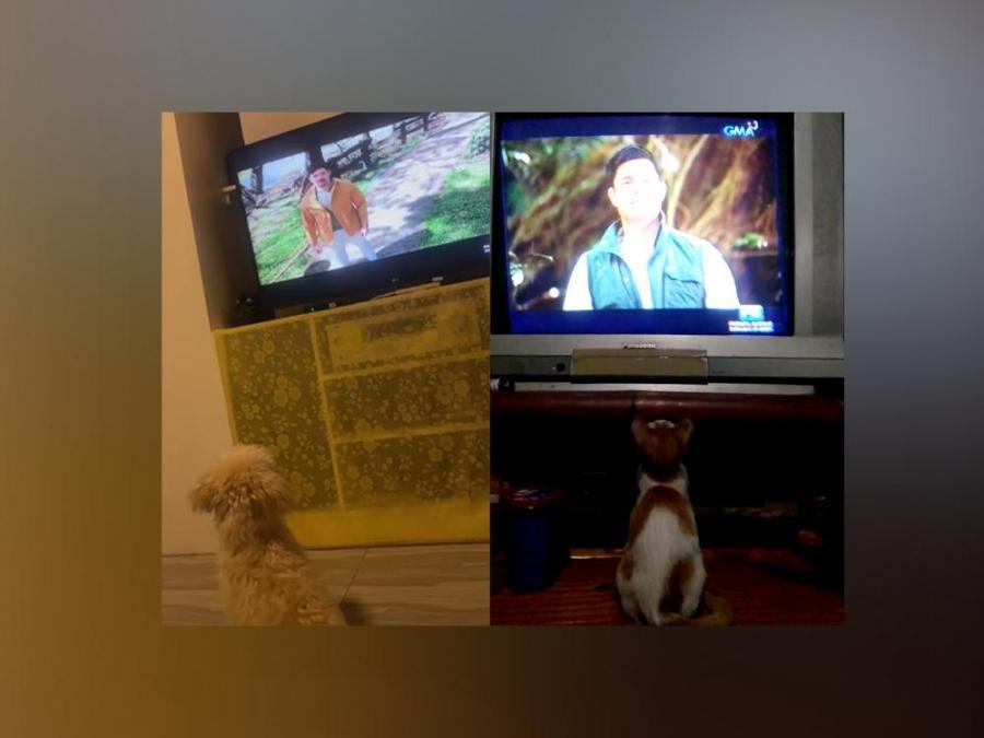 Iba't ibang amazing pets, nakatutok sa 'Amazing Earth' | GMA Entertainment