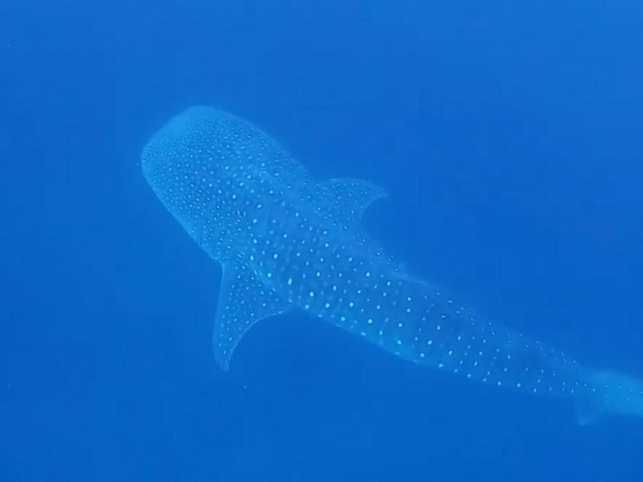 Biyahe ni Drew: Bisitahin ang mga butanding ng Southern Leyte!