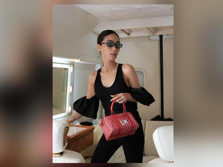 Moynat Bag Celebrity 60 Photos - Moonagedaydream.film