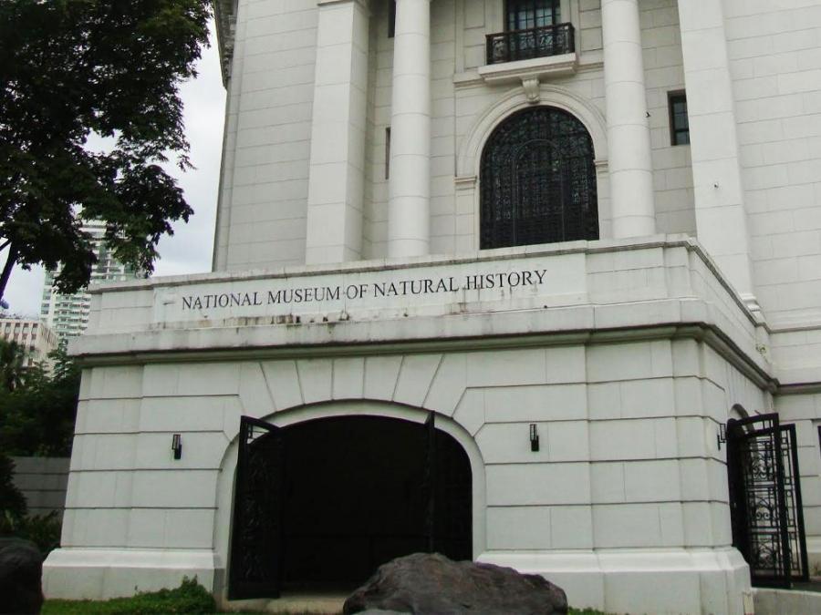 Here's what you can do on International Museum Day