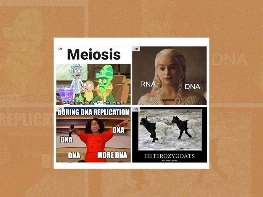 Study finds memes can help students with STEM education