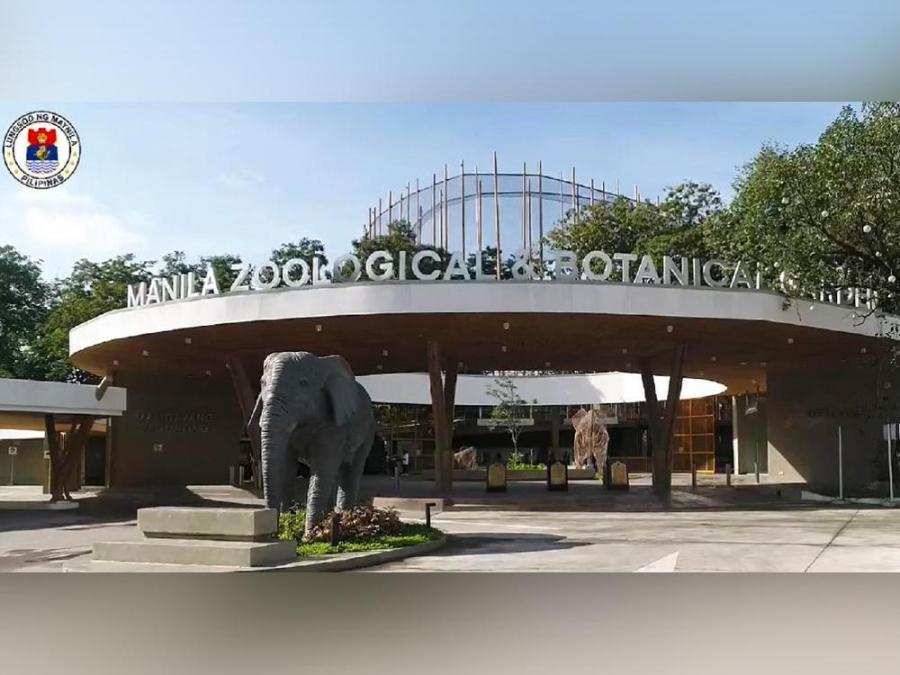 Manila Zoo to reopen on Monday, Nov. 21