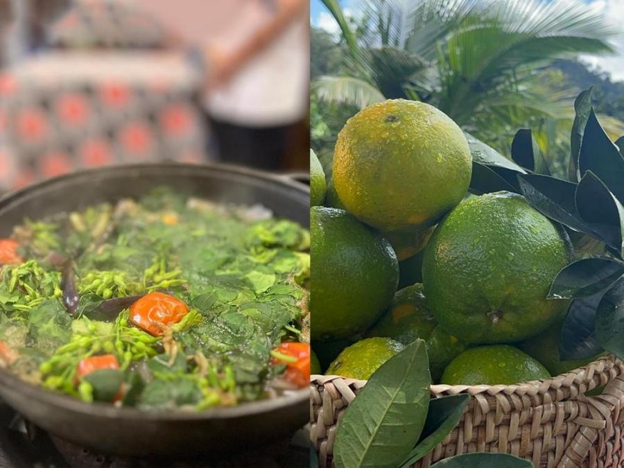These fruits and dishes from Nueva Vizcaya are a must-try