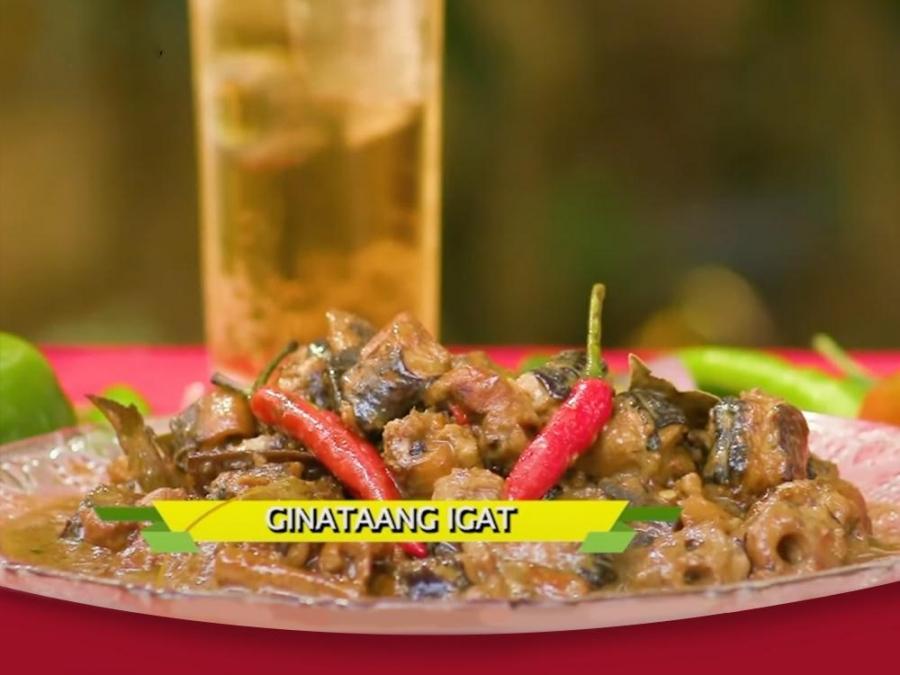 RECIPE: Ginataang Igat (ricefield eel in coconut milk)