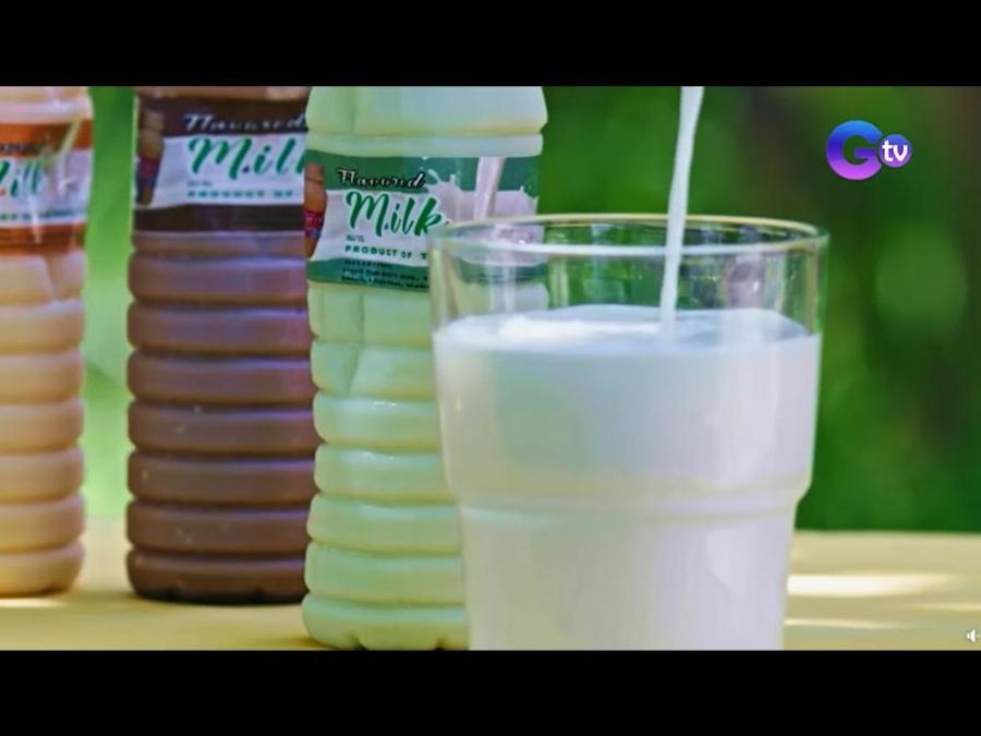 Try out these different carabao milk products from Tuguegarao