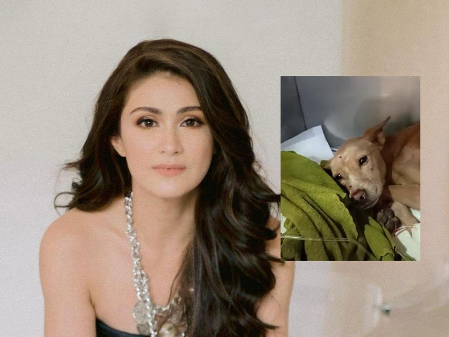Carla Abellana, niligtas ang asong na-hit and run sa NLEX | GMA Entertainment