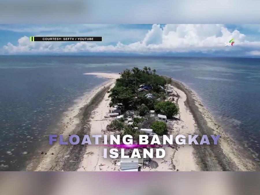 Kuwento ng survival sa animal kingdom at pag-explore sa Bohol ...