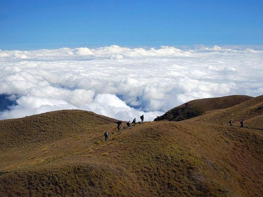DENR to impose penalties on littering Mount Pulag climbers