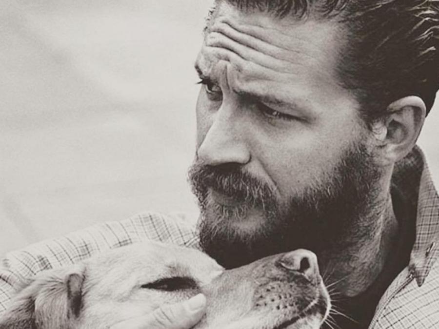 Tom Hardy says on-screen 'Venom' stays true to Marvel comics | GMA ...