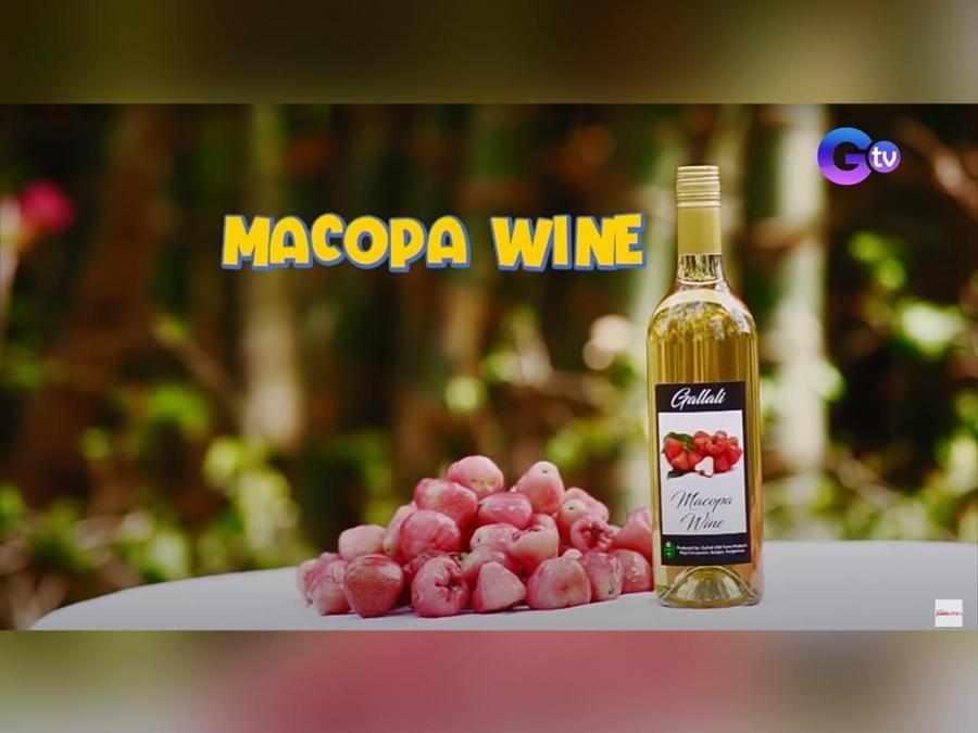 How to make wine out of Macopa