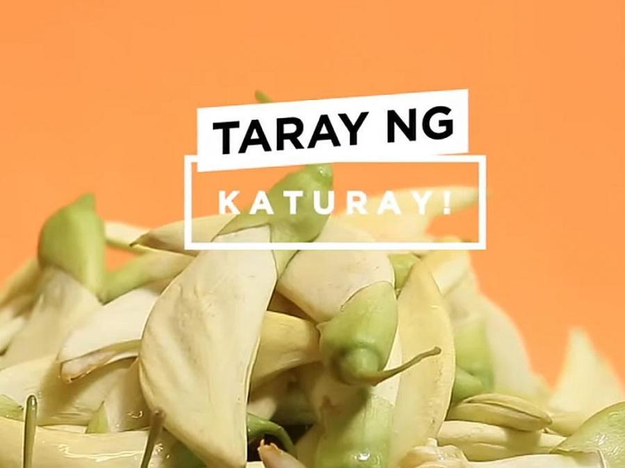 Katuray Flower Nutrients | Best Flower Site