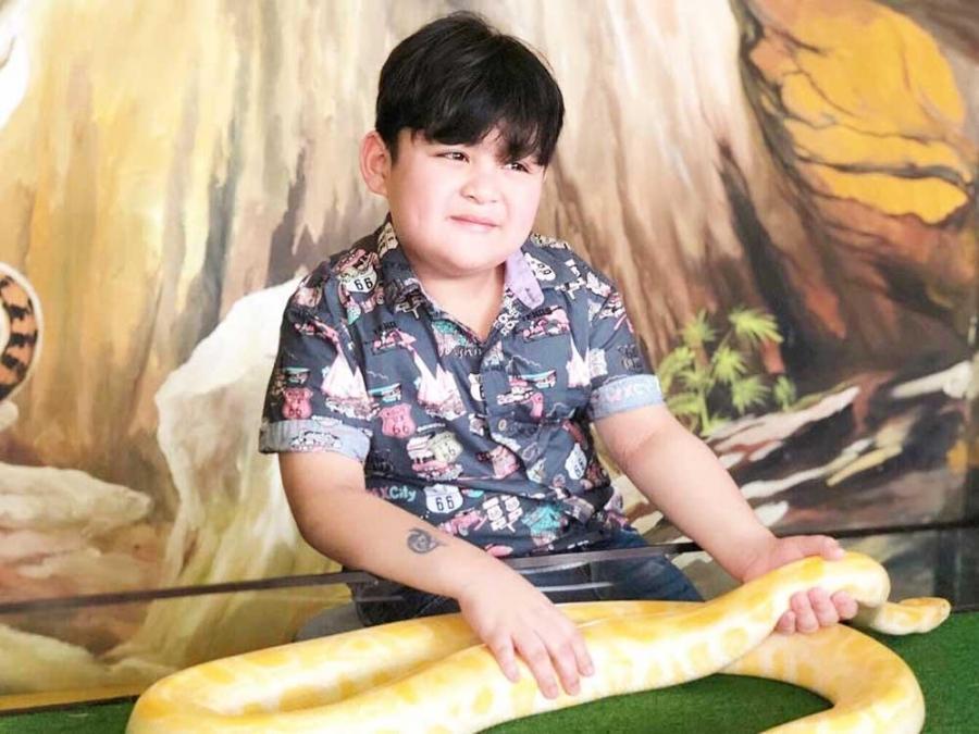 WATCH: Bae-by Baste's brother has an equally funny video at the zoo ...