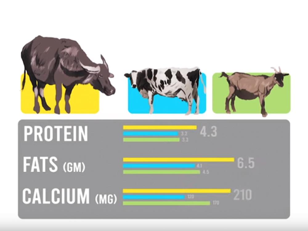 most_complete_food | GMA Entertainment - Online Home of Kapuso Shows ...