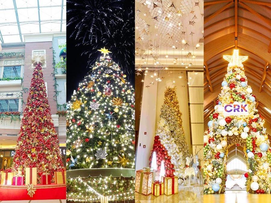 The giant Christmas trees are up!