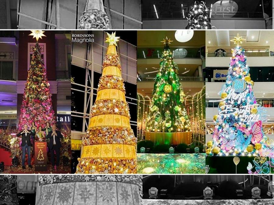 IN PHOTOS: Festive Christmas trees and displays this 2021