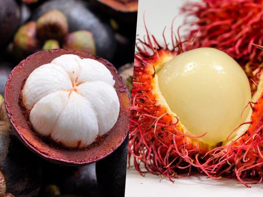 12 round fruits and their health benefits