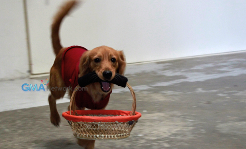 A preview of GMA's new telefantasya 'Aso Ni San Roque' | GMA Entertainment