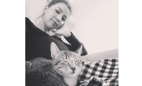 Tia Lee: Animal lover | GMA Entertainment