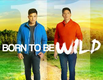 Program Schedule of your Favorite Shows | GMA Entertainment