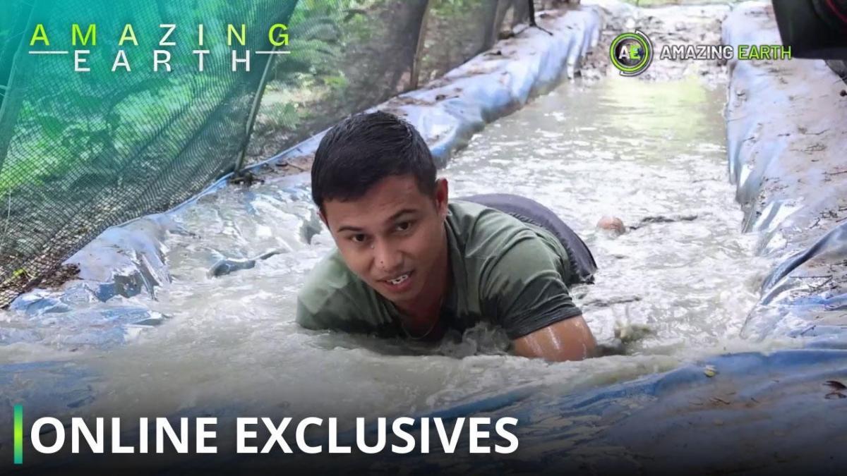 Amazing Earth: Unwind through nature at Camp Tipolo in Antipolo City ...