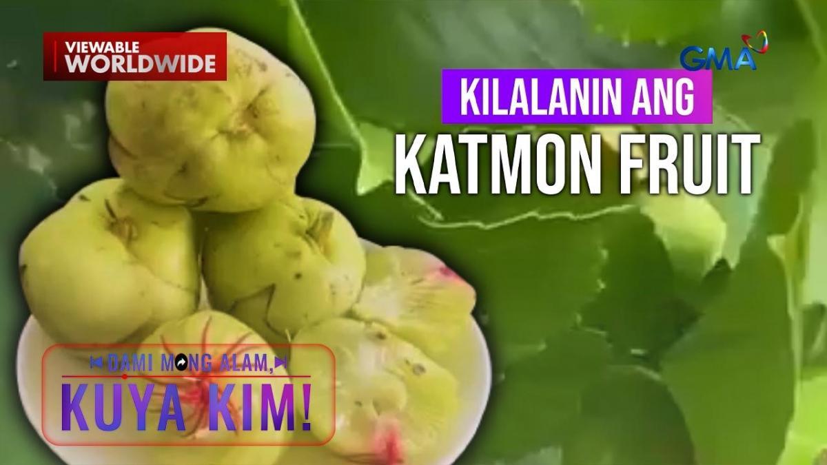 Katmon fruit, nagpapabata raw ng hitsura kapag kinakain?! | Dami Mong ...