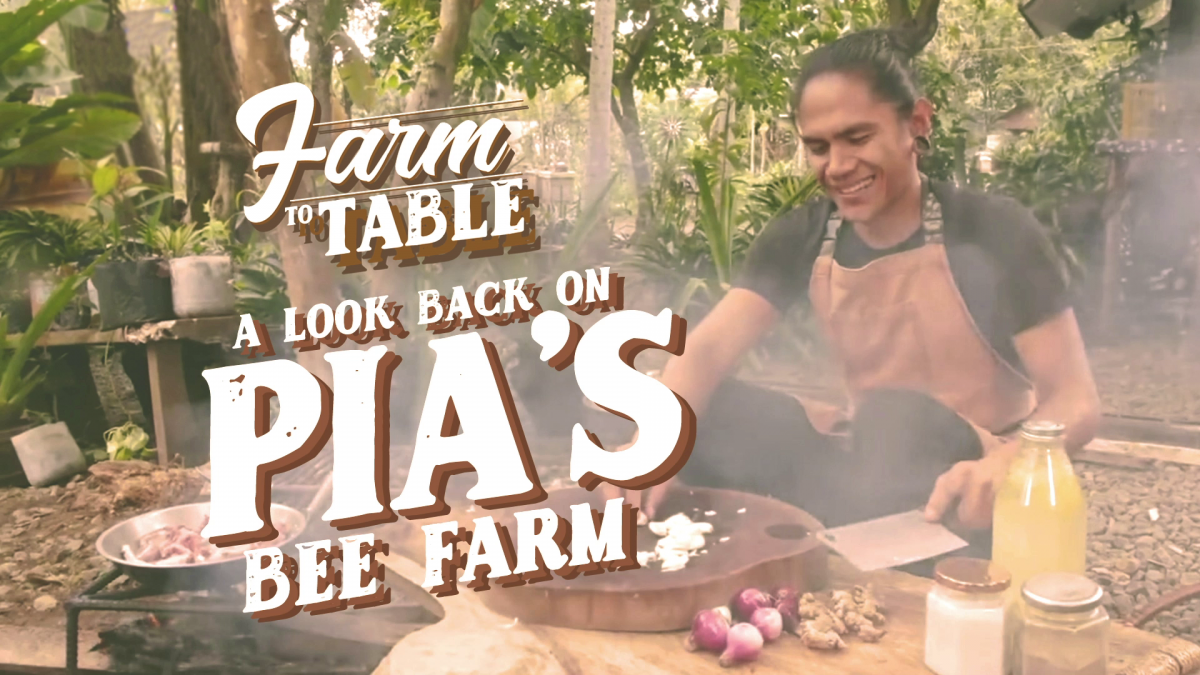 Chef JR Royol looks back on his Pia's Bee Farm experience! (ATM Online ...