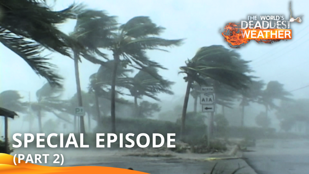 Amazing Earth: Surviving the tragic disaster of Hurricane Katrina ...