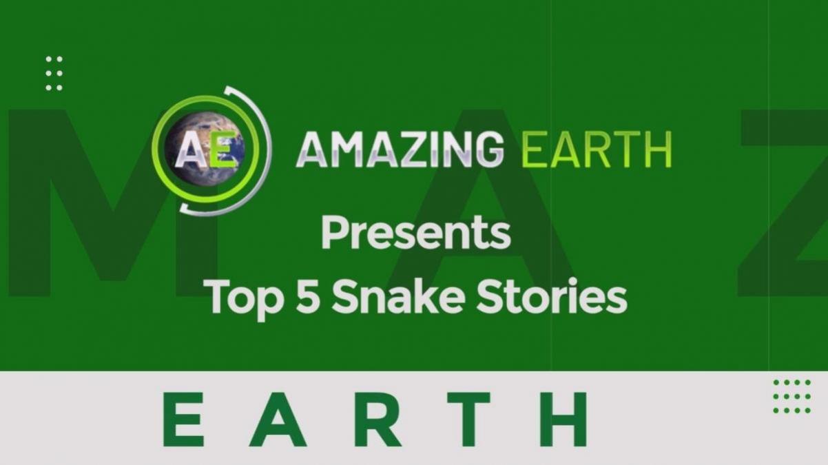 Amazing Earth: Top 5 snake stories (Online Exclusives) | GMA Entertainment