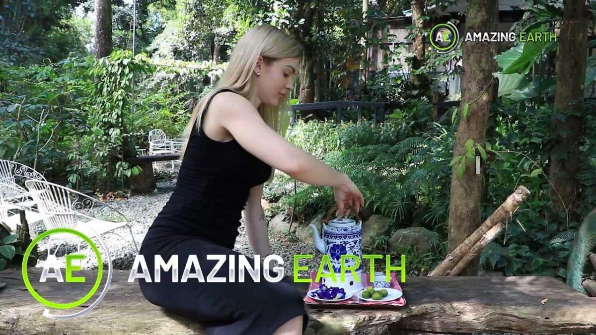 Amazing Earth: Behind-the-Scene of Lisa Lopez's herbal tea making ...
