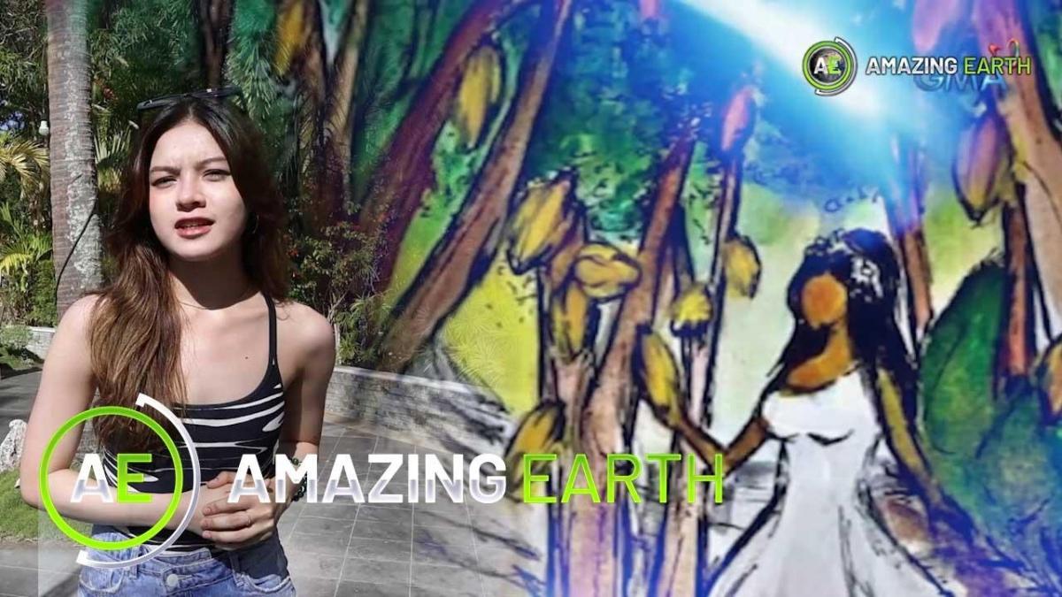 Amazing Earth: The Legend of Maria Cacao of Cebu City! (Online ...