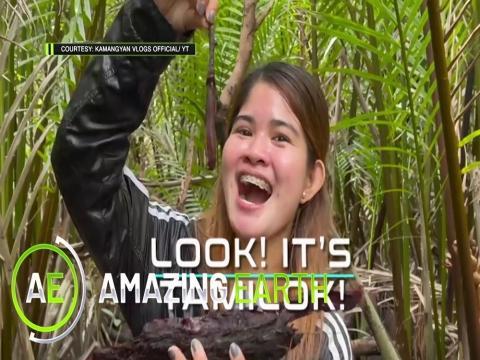 Videos | Amazing Earth | TV | GMA Entertainment - Online Home of Kapuso ...