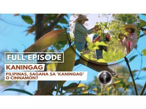 Home | I Witness (Full Episodes) | TV | GMA Entertainment - Online Home of Kapuso Shows and Stars