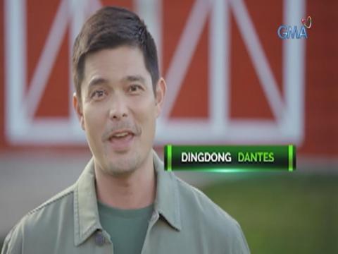 Home | Amazing Earth | TV | GMA Entertainment - Online Home of Kapuso ...