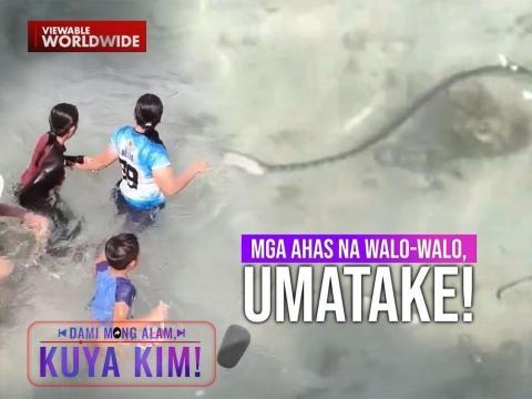 Home | Dami Mong Alam, Kuya Kim | TV | GMA Entertainment - Online Home of Kapuso Shows and Stars