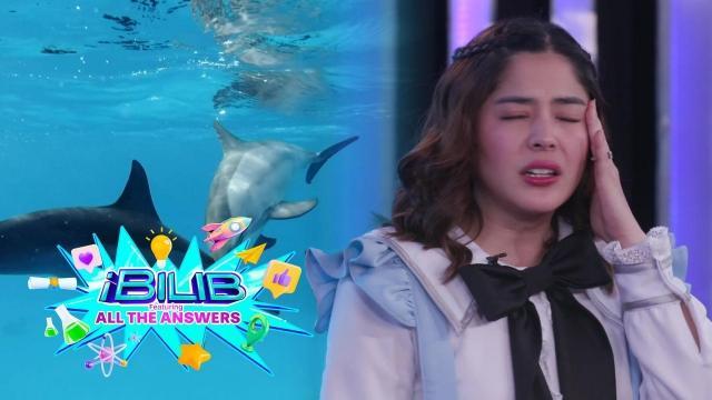 Home | iBilib: Wonders of Horus | TV | GMA Entertainment - Online Home ...