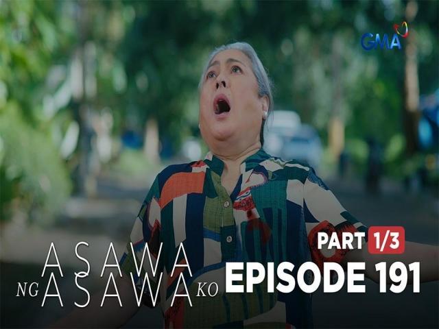 Asawa Ng Asawa Ko: Shaira shows no mercy towards Carmen! (Episode 191 - Part 1/3) | GMA ...