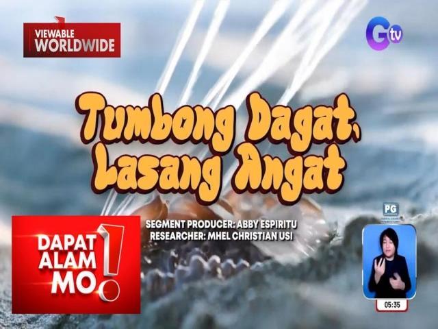 "Tumbong dagat" ng Bataan, tikman! | Dapat Alam Mo! | GMA Entertainment