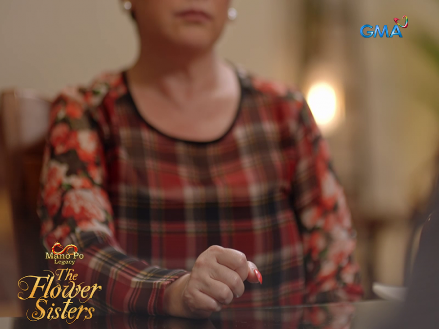 Mano Po Legacy: A mysterious woman who will topple the Chua family ...