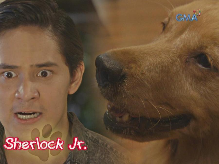 Sherlock Jr.: Siri invades Sherlock's home | Episode 1 | GMA Entertainment