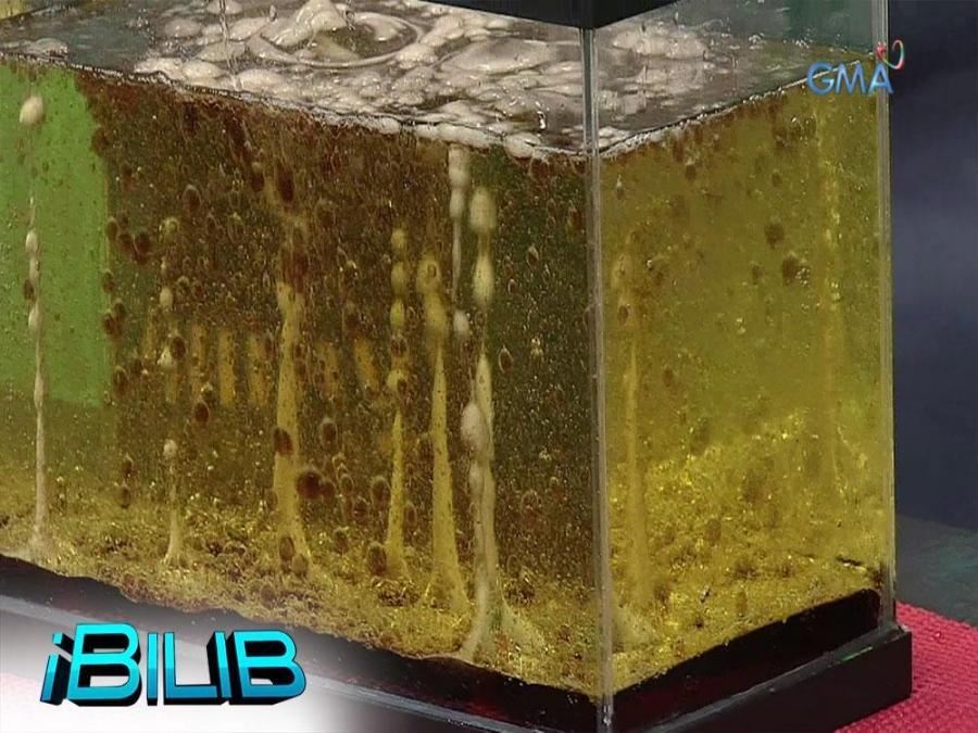 IBilib: Chemical reaction vs physical reaction | GMA Entertainment