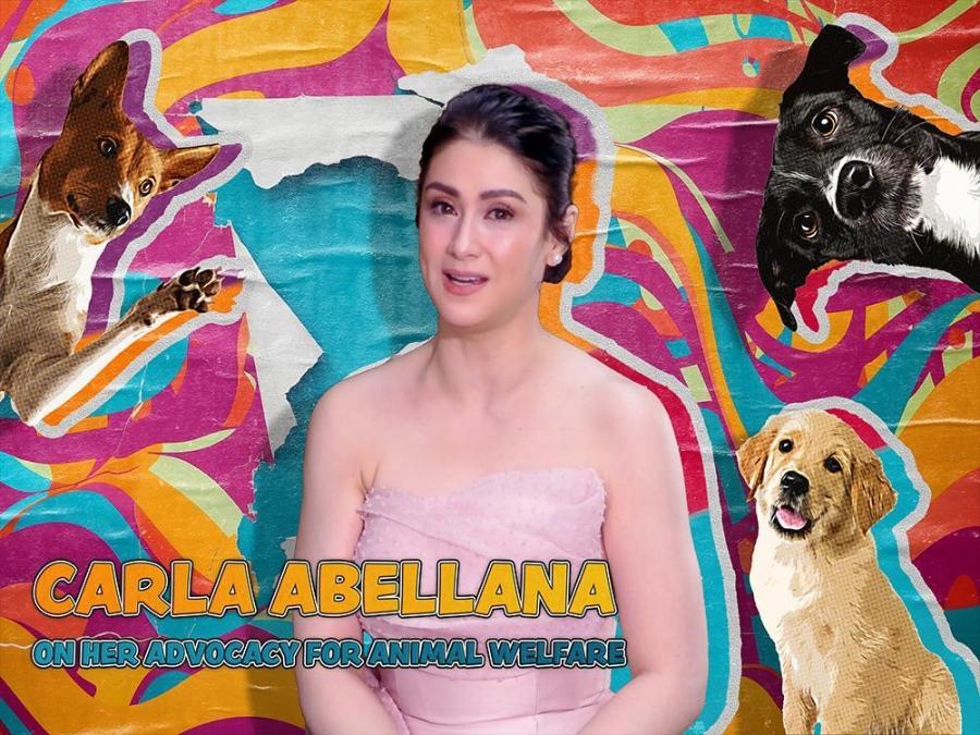 Carla Abellana shares her advocacy to save animals (Online Exclusive ...