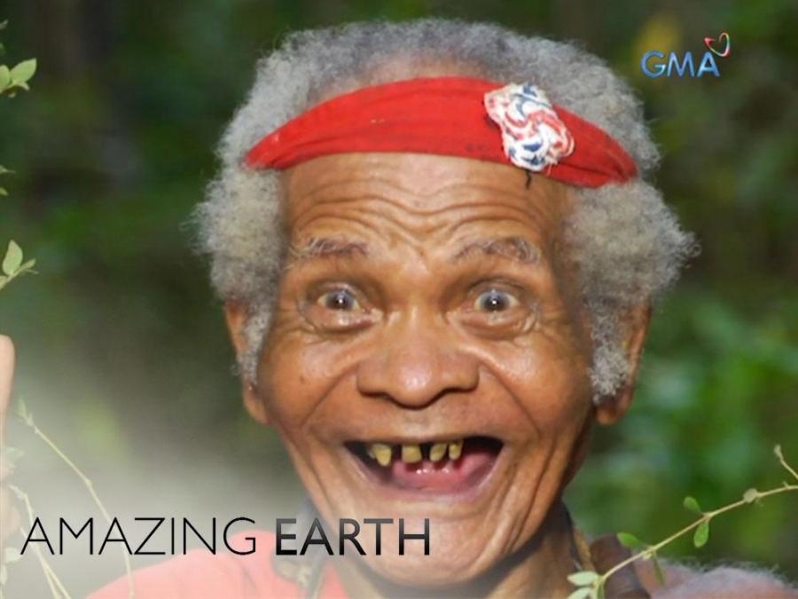 Amazing Earth: What are the health benefits of the tawa-tawa plant ...