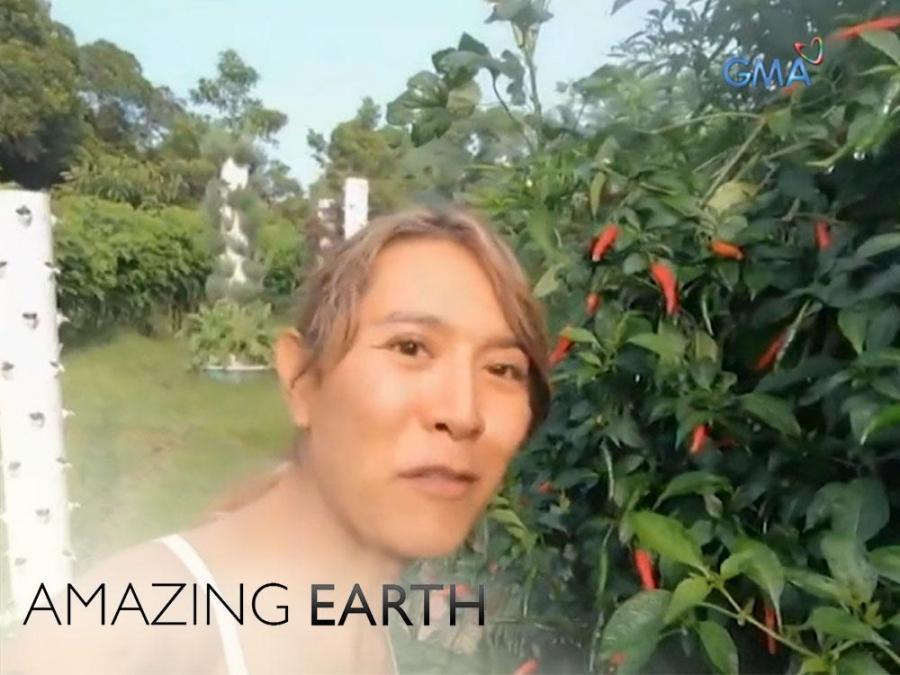 Amazing Earth: Angie Mead King shows off her 'tower farm' in Laguna ...